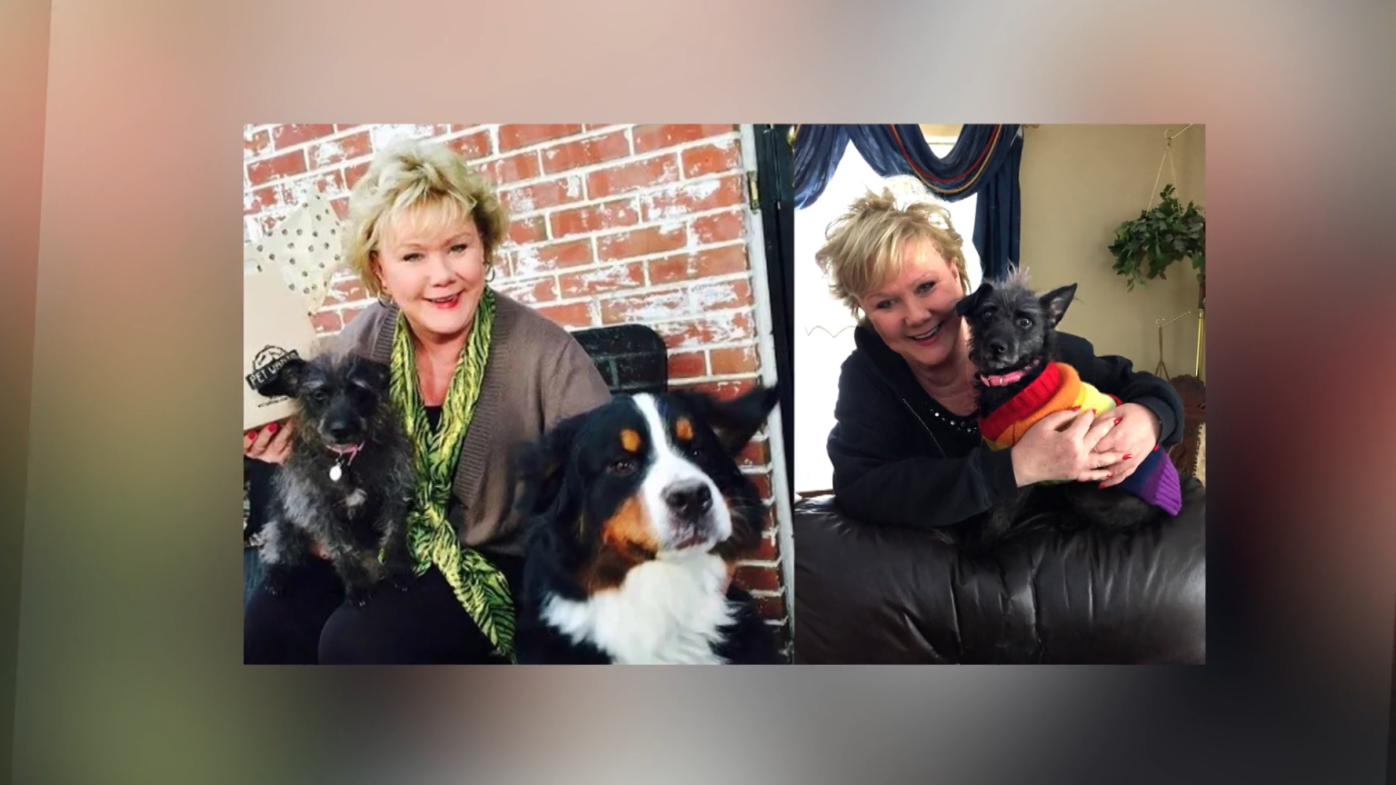 Patty Spitler | Person | Indiana Broadcast History Archive